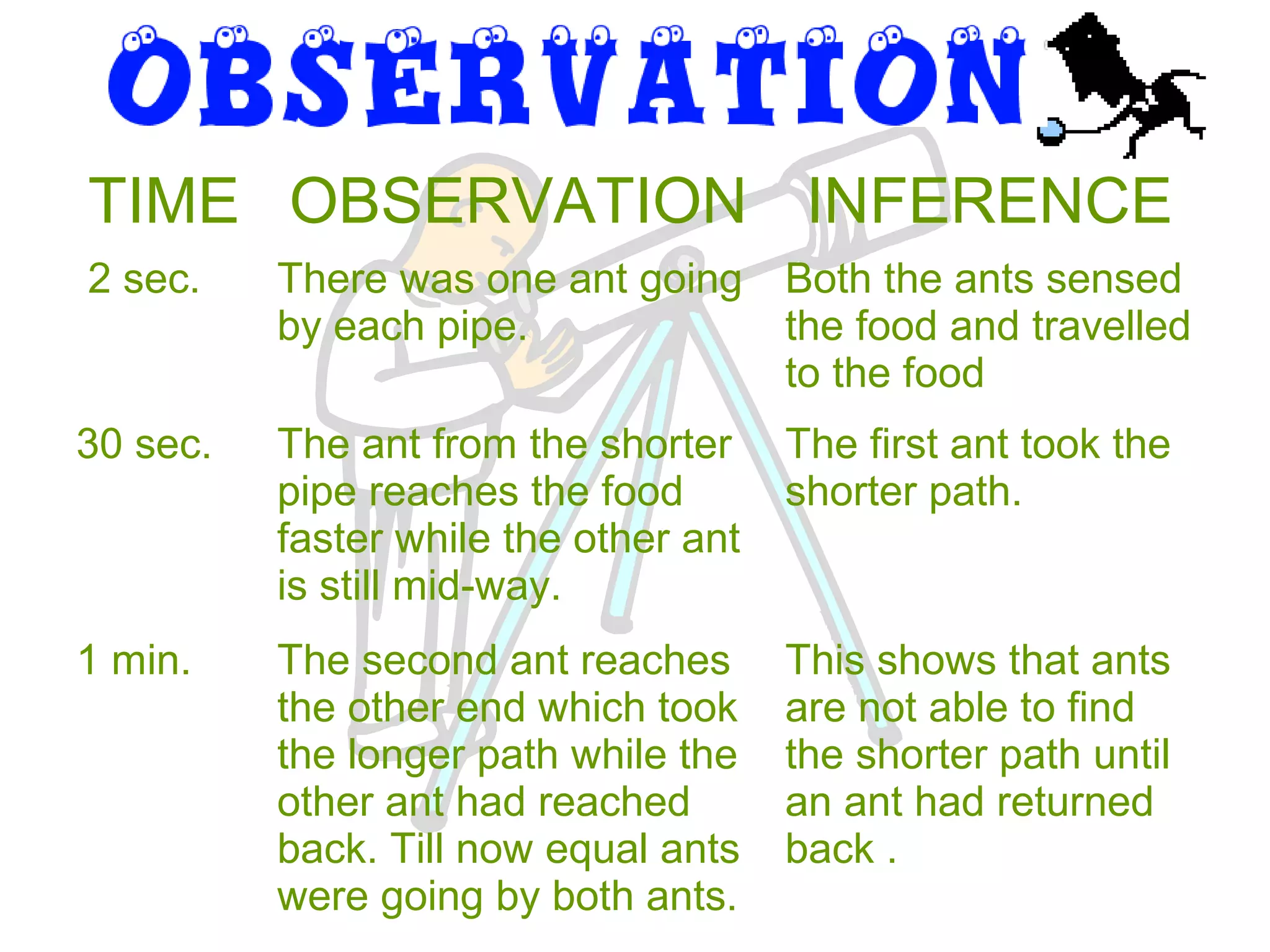 How ants communicate. | PPT