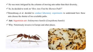 How ants find shortest path | PPTX