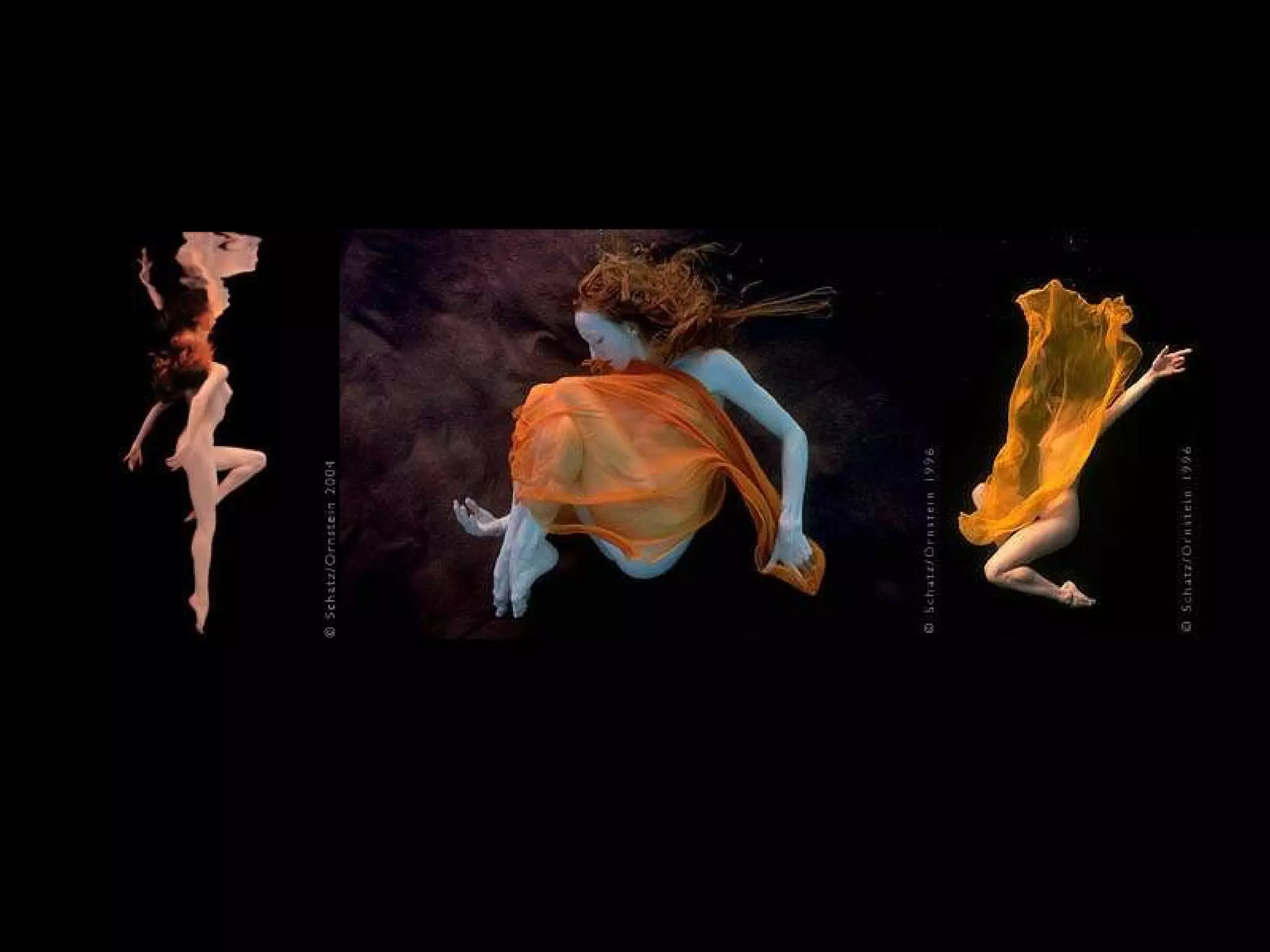 Howard Schatz | PPT