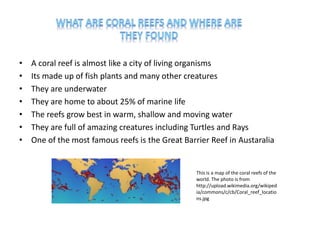 How are animals adapted to coral reefs | PPTX | Fish and Aquariums | Pets