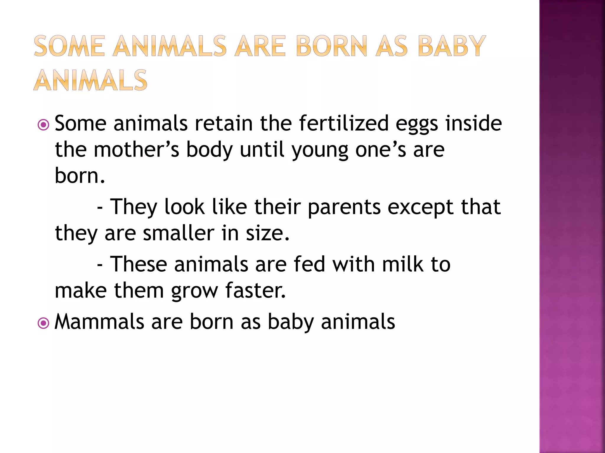 How are animals born | PPTX