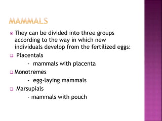 How are animals born | PPTX
