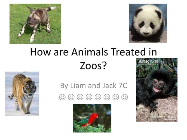How are animals treated in zoos | PPTX | Zoos & Aquariums | Attractions
