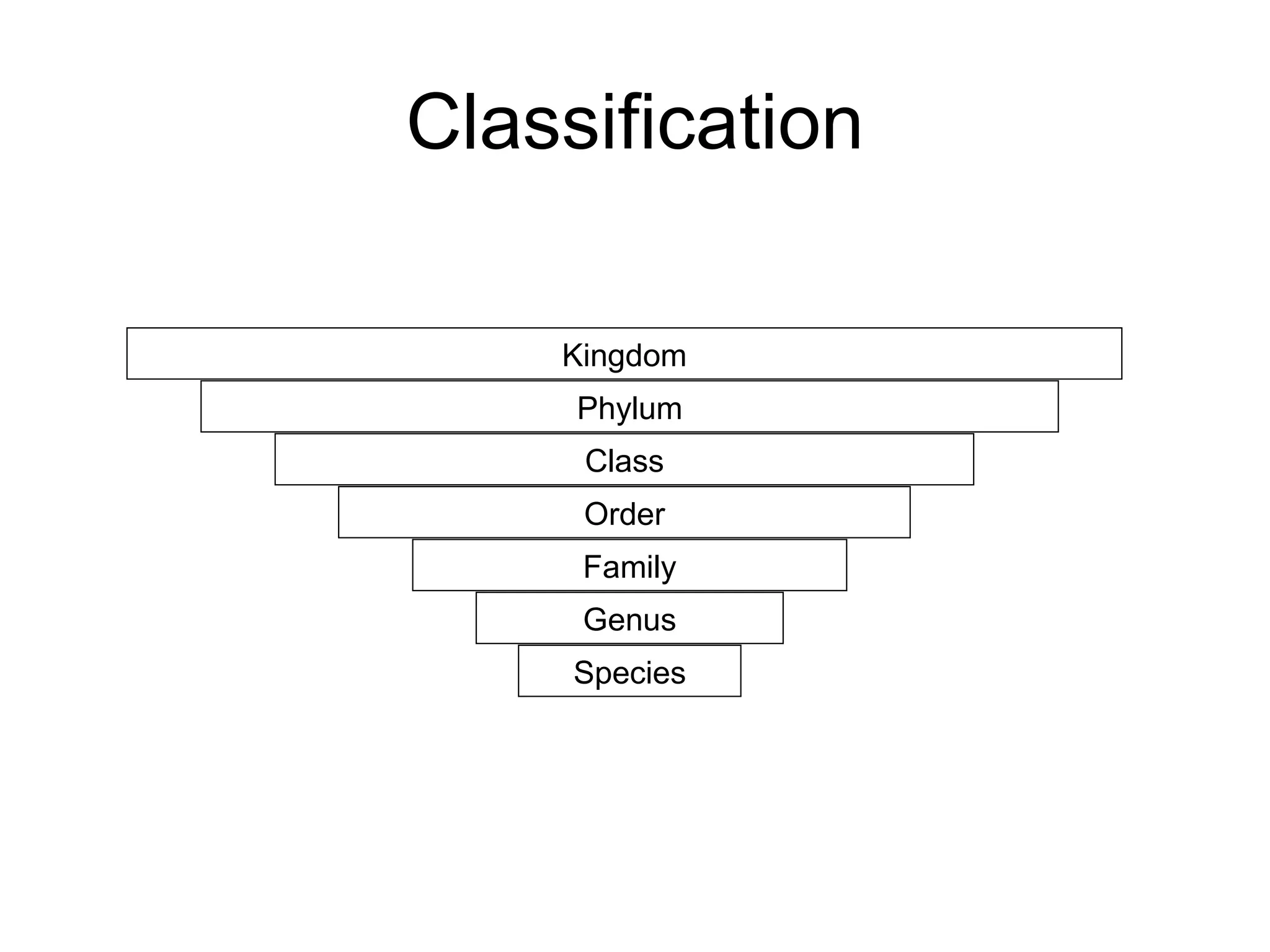 How Are Living Things Classified? | PPT