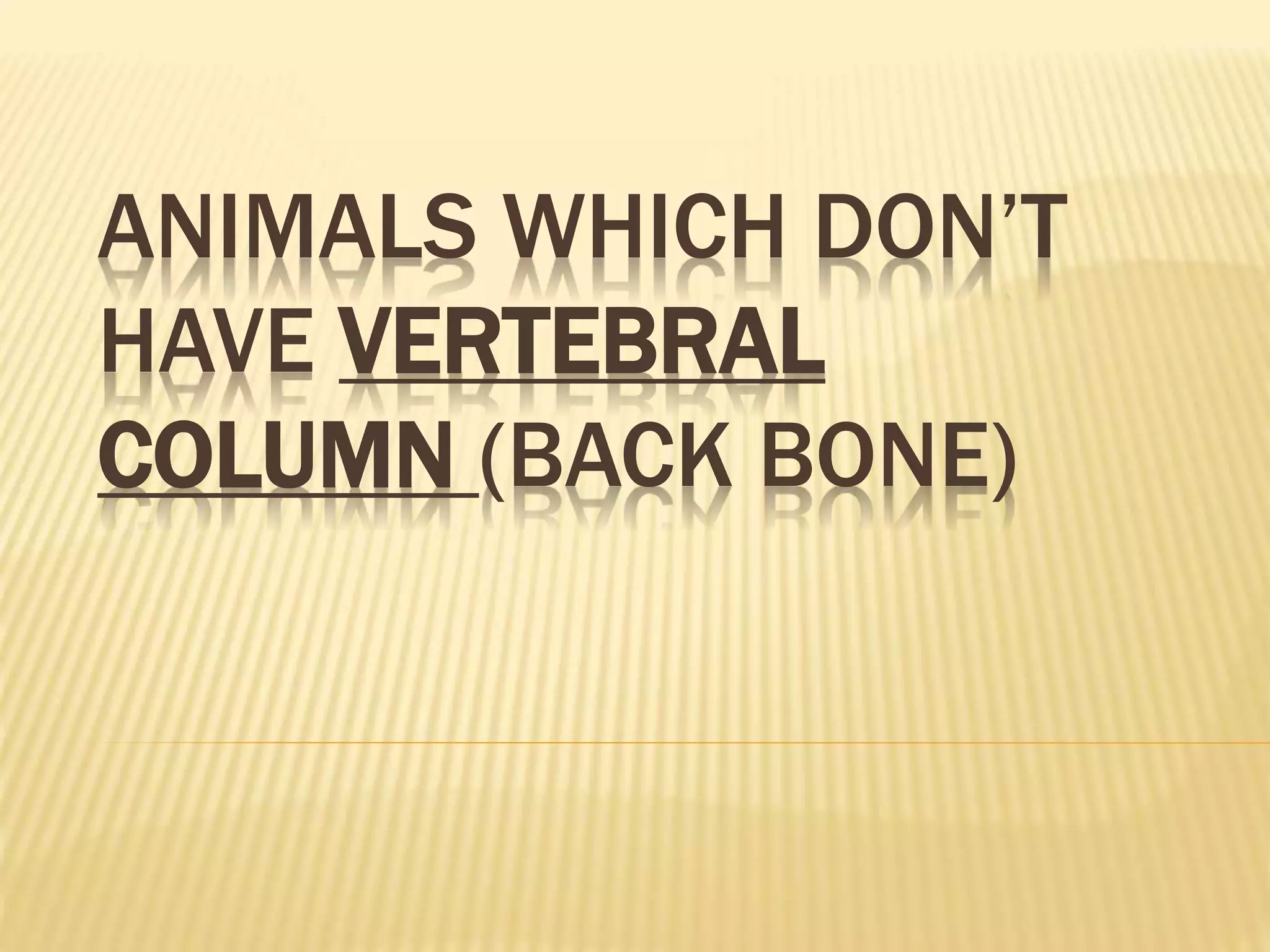 How are living things similar and different | PPTX