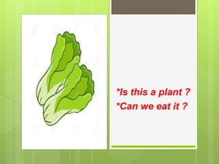 How are plant parts different | PPT