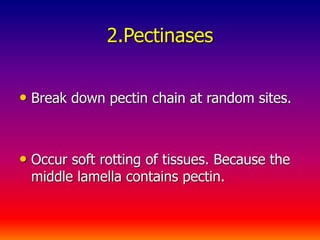 How attack pathogens | PPT | Gardening | Home & Garden