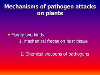 How attack pathogens | PPT