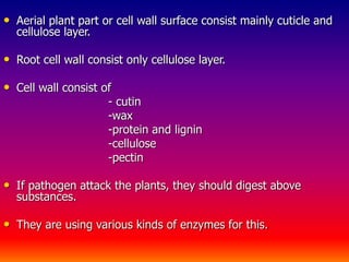 How attack pathogens | PPT