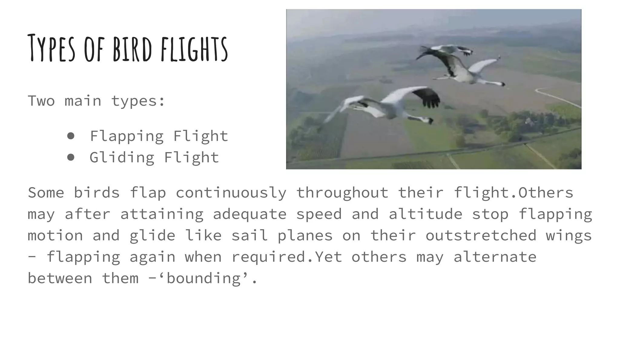 How birds fly | PPTX