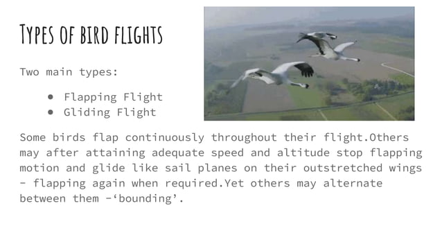 How birds fly | PPTX