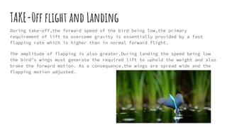 How birds fly | PPTX