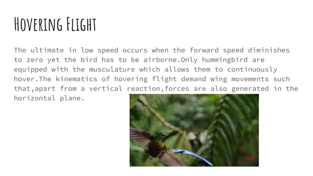 How birds fly | PPTX