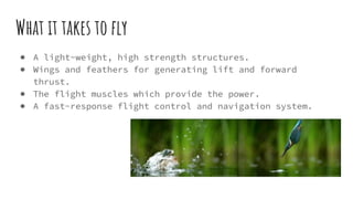How birds fly | PPTX