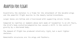 How birds fly | PPTX