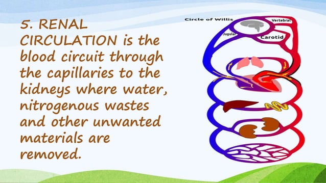 How blood moves around the body (Lesson 3) | PPT