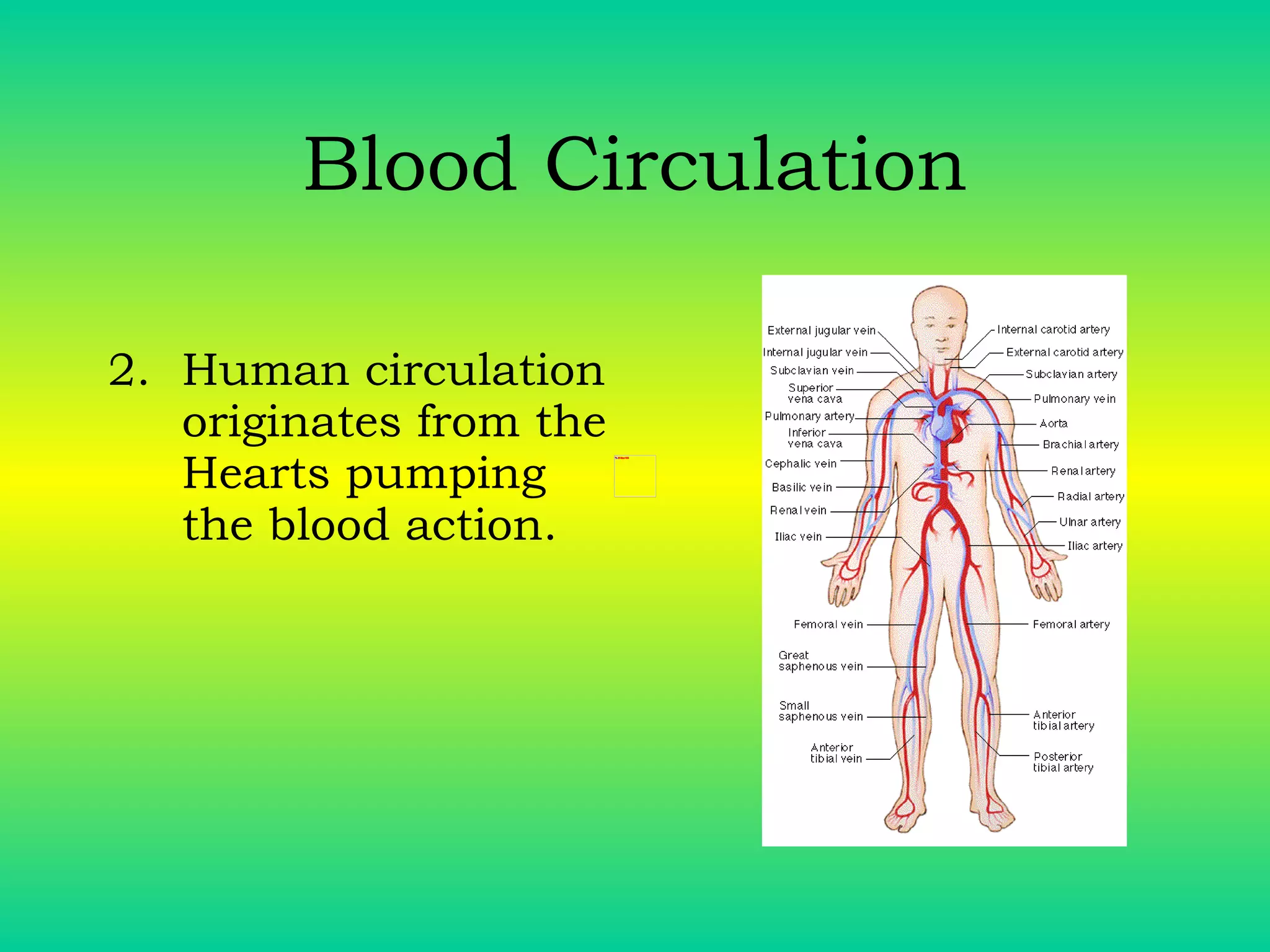 How bodygenerateenergy | PPT