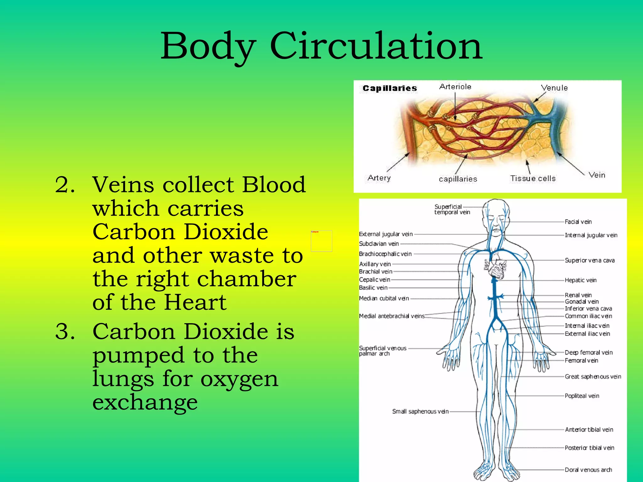 How bodygenerateenergy | PPT