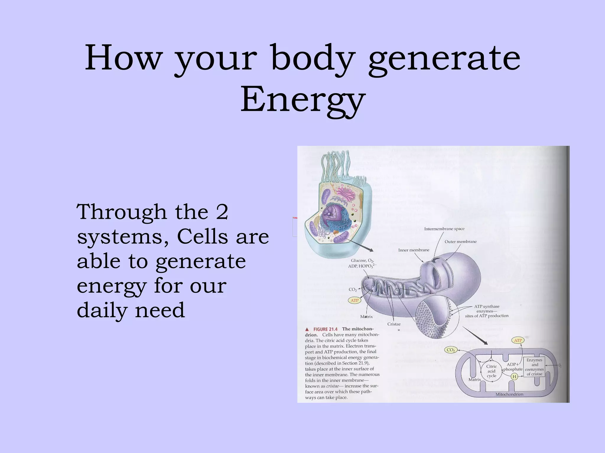 How bodygenerateenergy | PPT