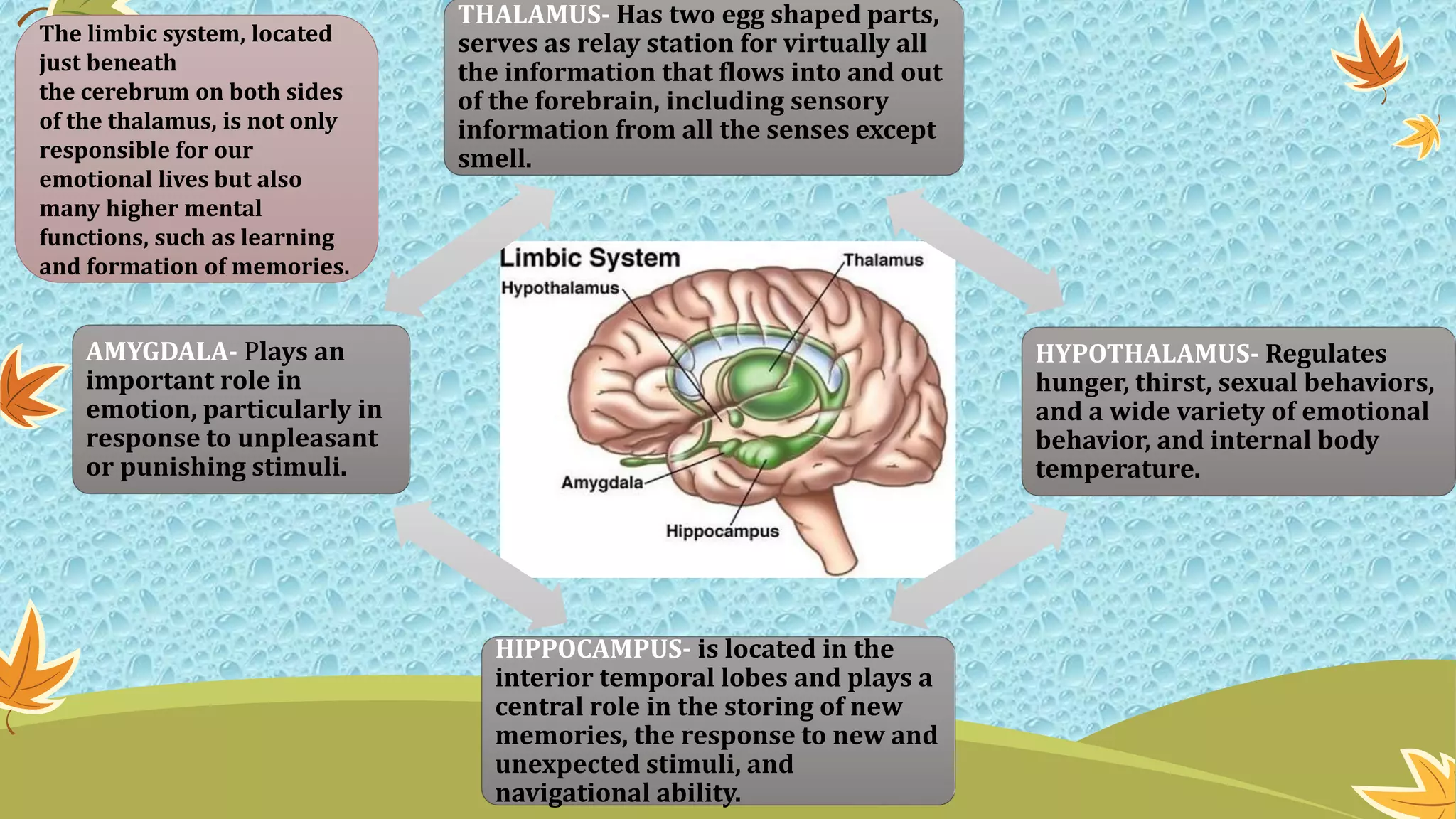 HOW BRAIN THINKING AND HELP IN LEARNING | PDF