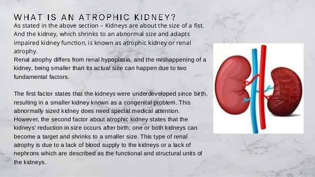 How Can Ayurveda Treat Renal Atrophy | PPTX
