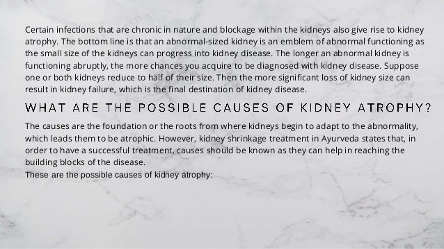 How Can Ayurveda Treat Renal Atrophy | PPTX