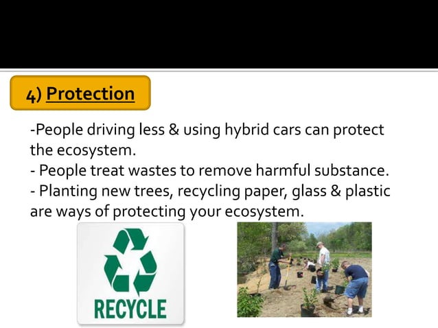 How can changes in an environment affect the | PPT