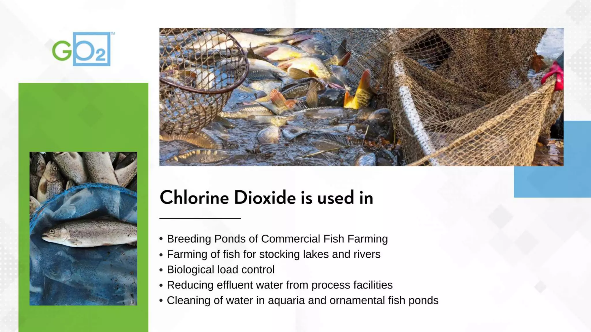 How Can Chlorine Dioxide Improve Fish Production | PPTX
