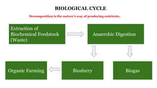 What is Circular Economy | PPTX