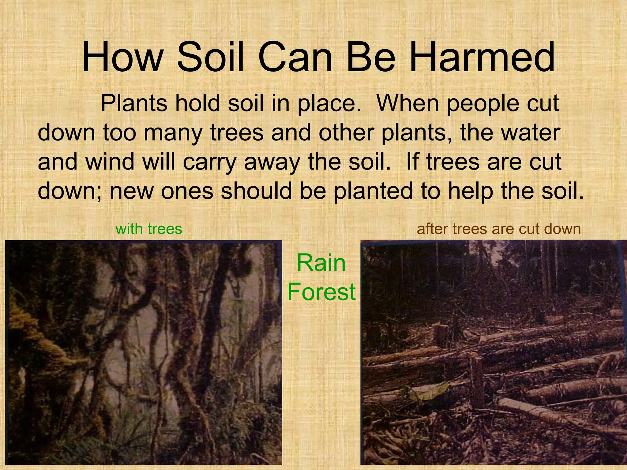 How Can People Conserve Soil | PPT