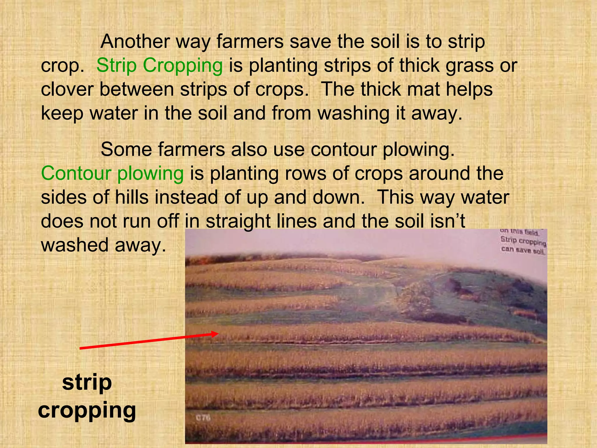 How Can People Conserve Soil | PPT