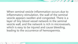 How Can TCM Treat Hemospermia Cause by Seminal Vesiculitis.pptx