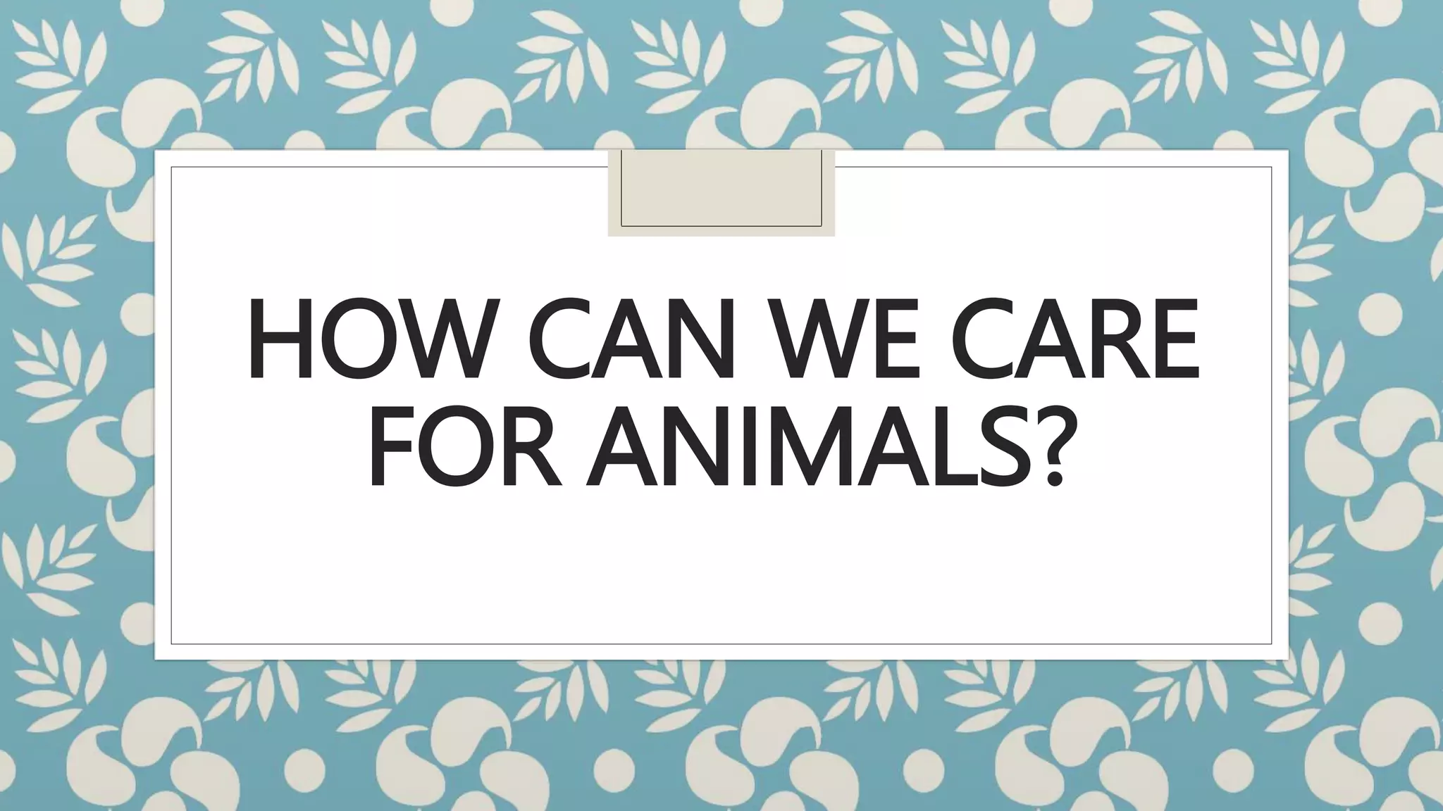 How Can We Care For Animals.pptx