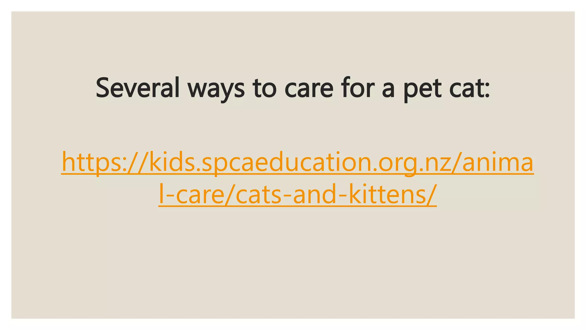 How Can We Care For Animals.pptx