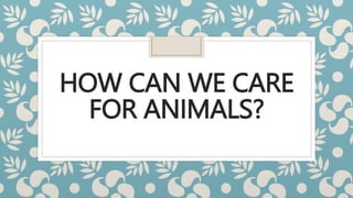 How Can We Care For Animals.pptx