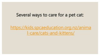 How Can We Care For Animals.pptx | Free Download