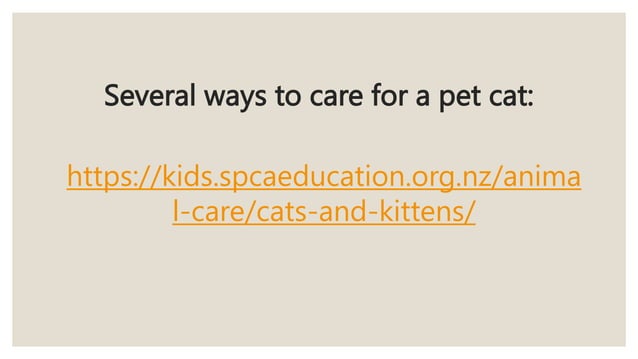 How Can We Care For Animals.pptx