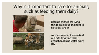 How Can We Care For Animals.pptx