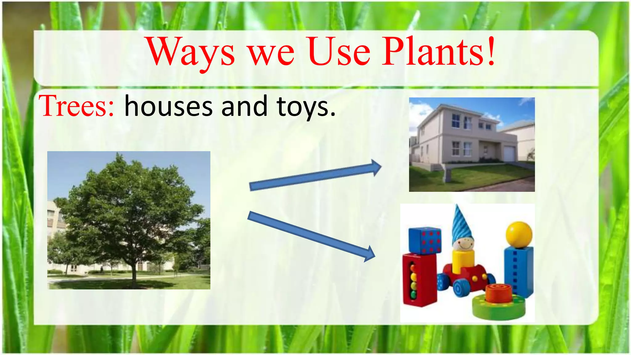 How can we group plants | PPTX