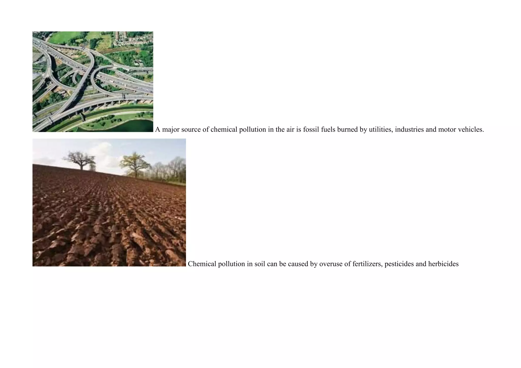 How can we prvent chemical pollution | DOCX