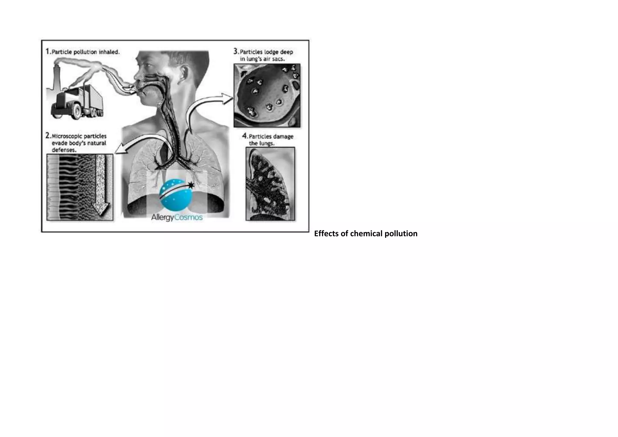How can we prvent chemical pollution | DOCX