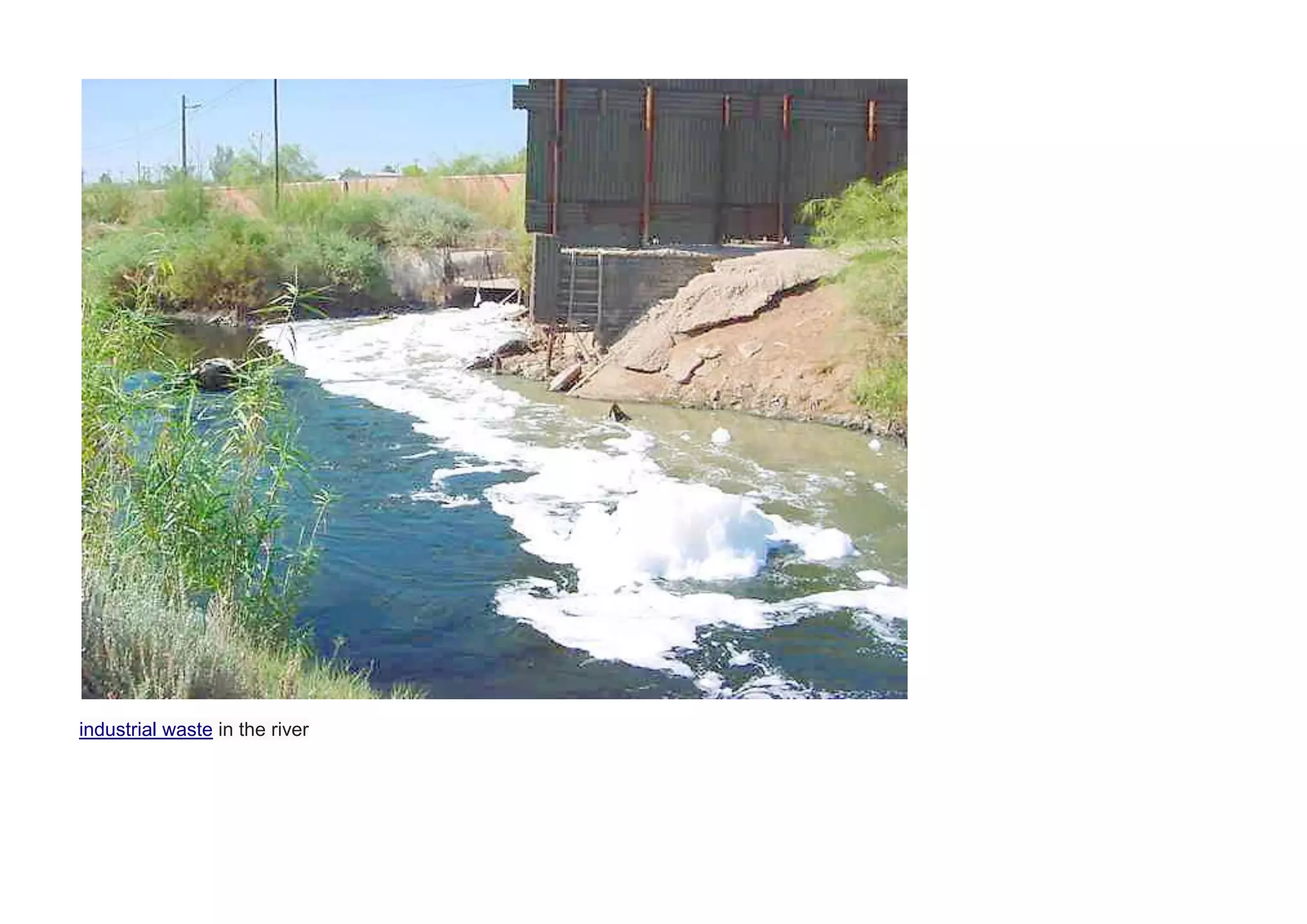 How can we prvent chemical pollution | DOCX