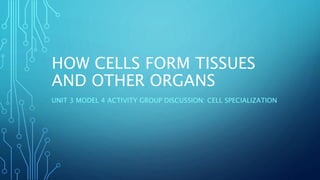 How cells form tissues and other organs | PPT