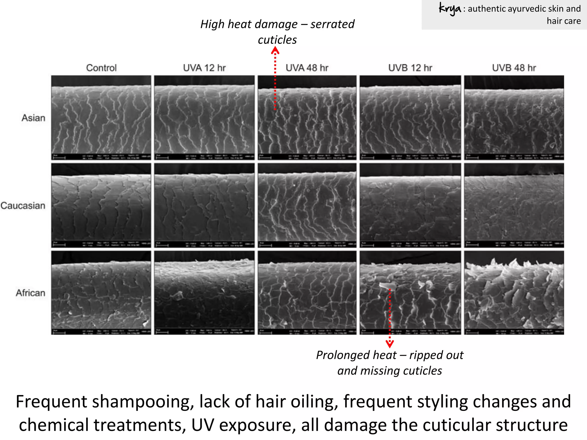 How chemical colours , hair straightening, re bonding damage hair | PDF