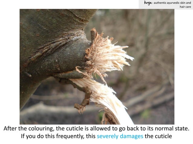 How chemical colours , hair straightening, re bonding damage hair | PDF ...
