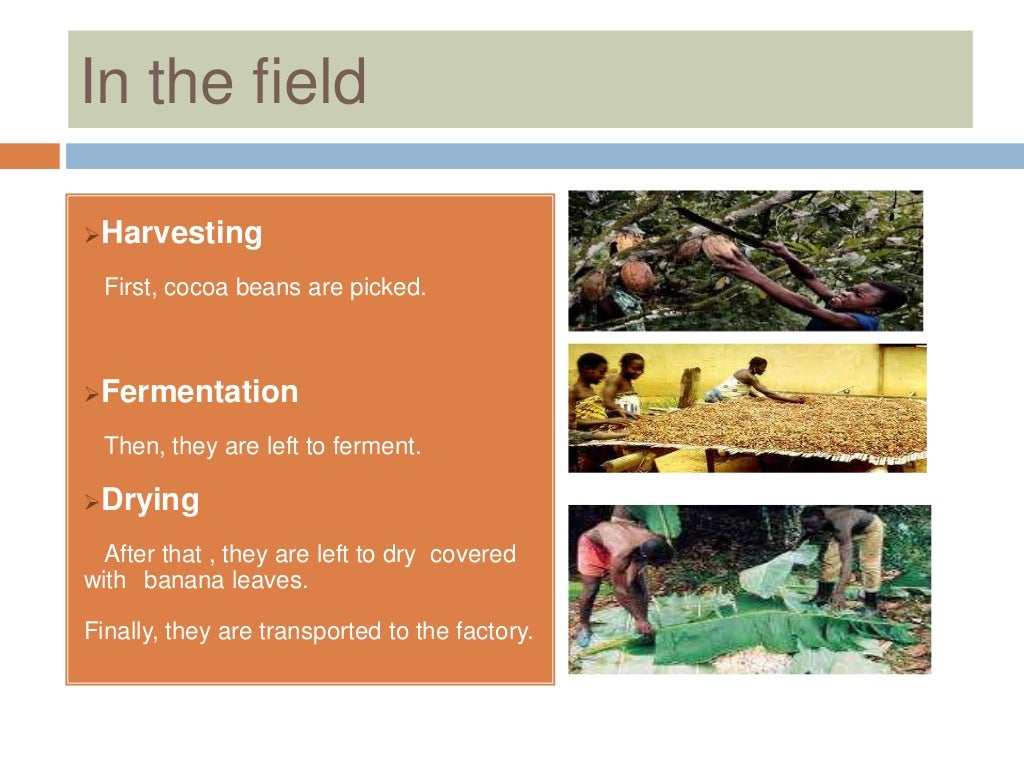 How chocolate is made