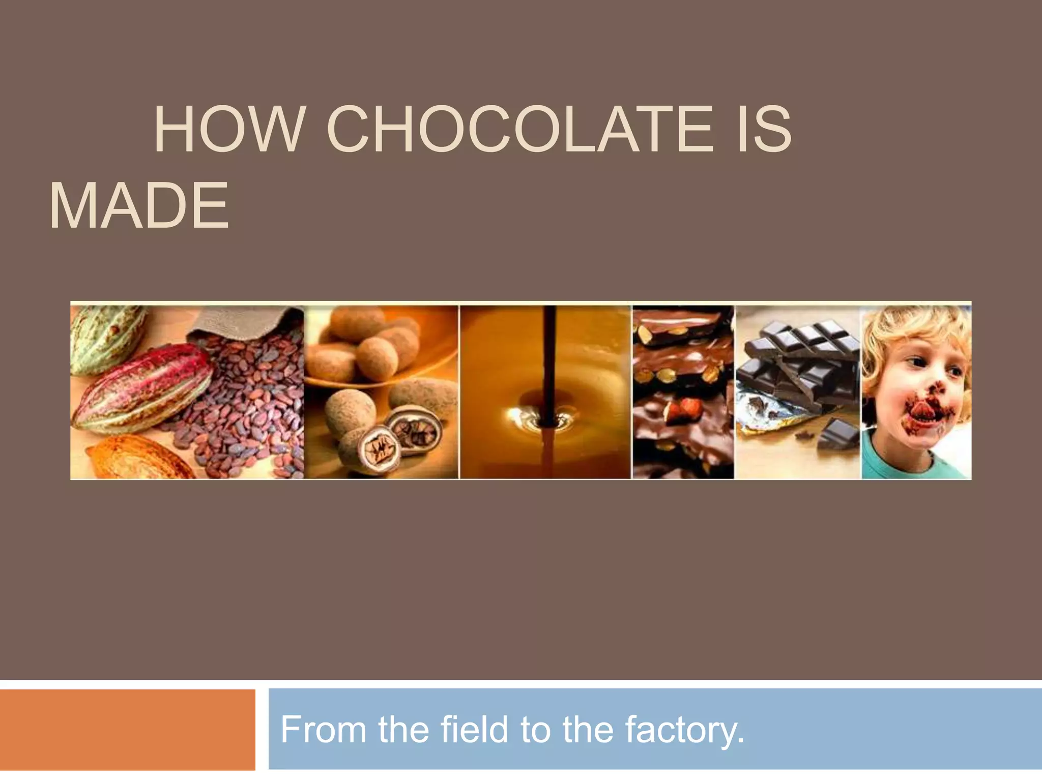 How chocolate is made | PPTX