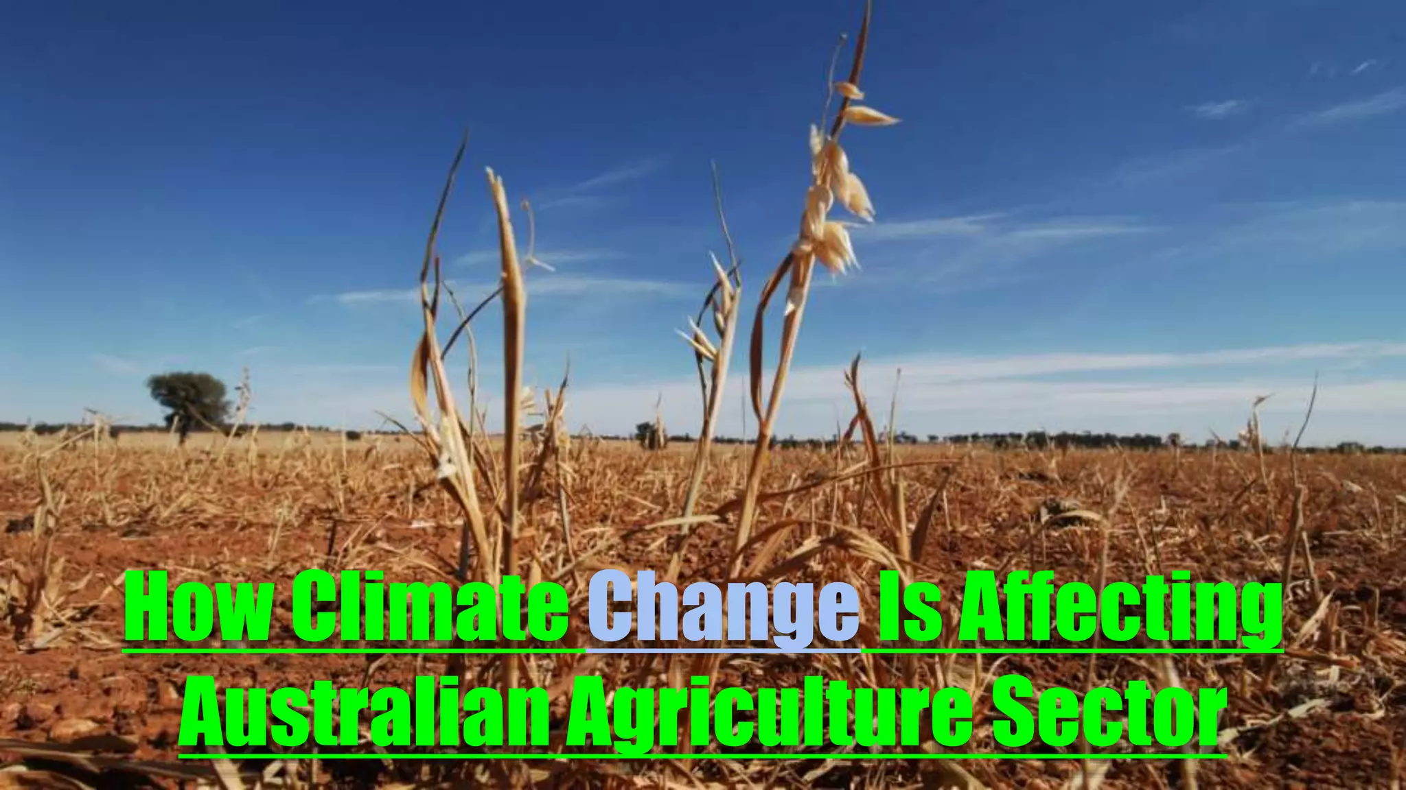 How Climate Change Is Affecting Australian Agriculture Sector | PPTX