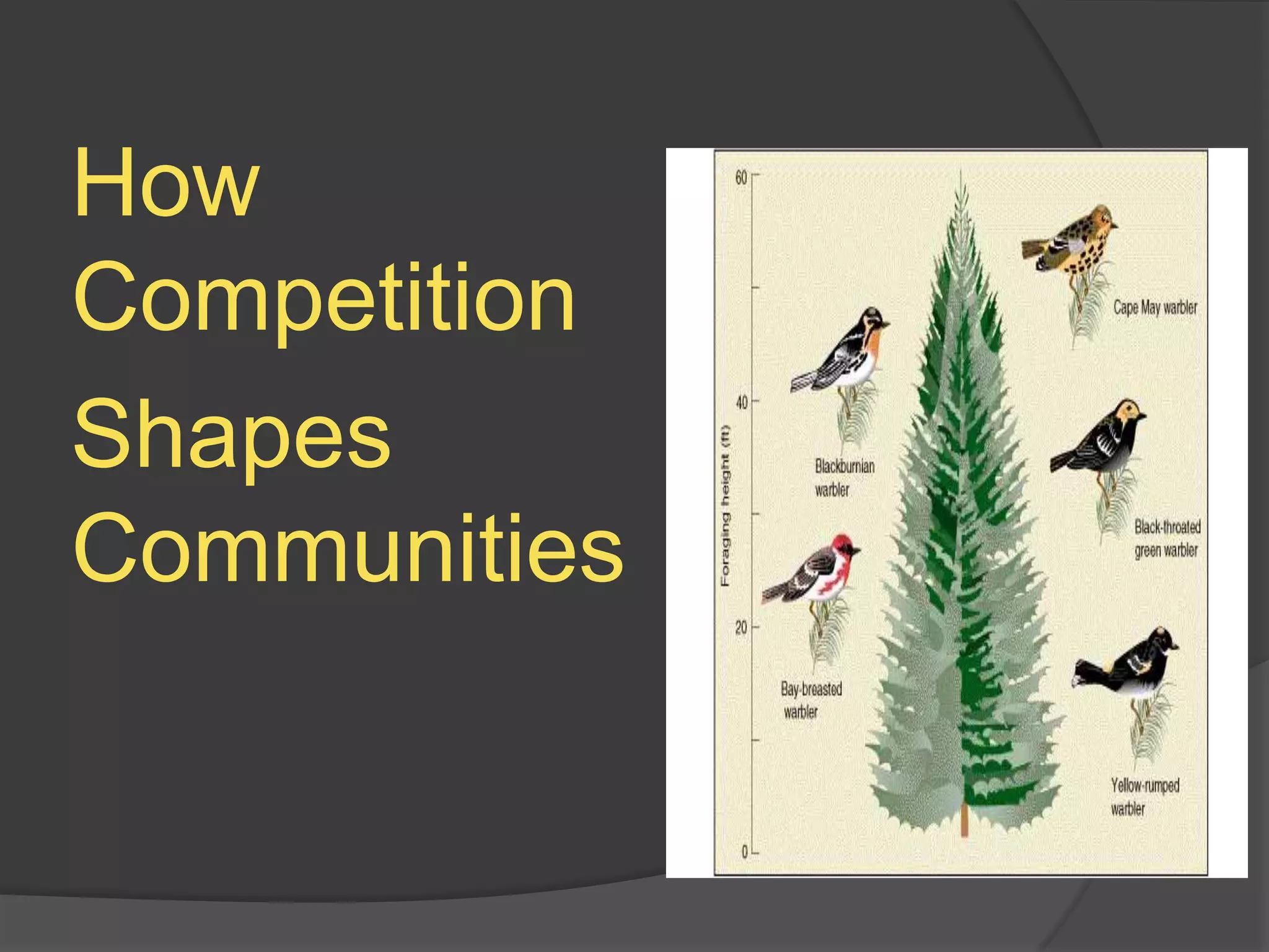 How competition shapes communities | PPTX