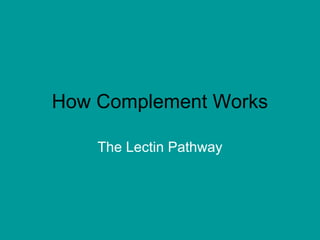 How Complement System Works (Lectin Pathway) | PPT